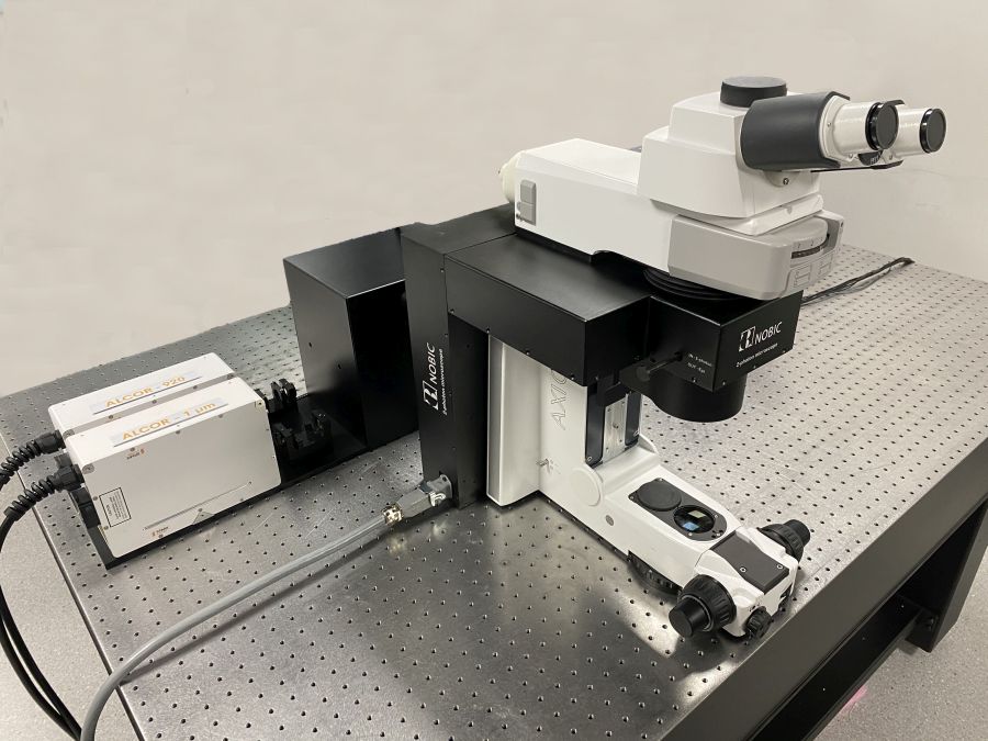 NOBIC | Current Projects